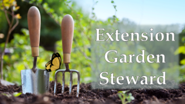 Extension Garden Steward | MU Extension